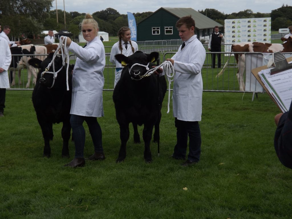 LIMOUSIN LEADERS TAKE FOURTH SPOT IN 2017 NATIONAL YOUNG STARS ...