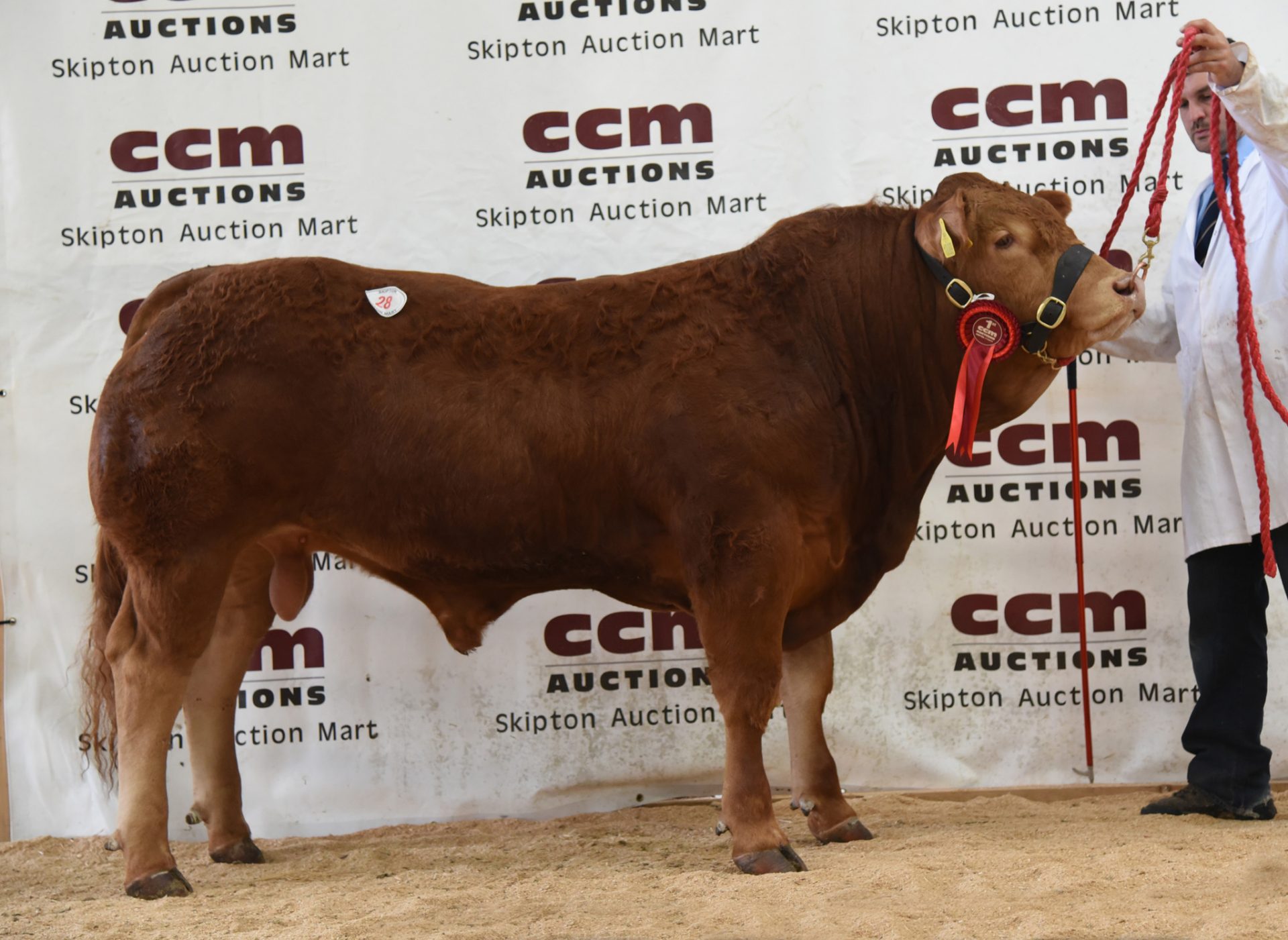 8500GNS GUNNERFLEET NEPTUNE ON ANOTHER PLANET SETTING CENTRE RECORD AT ...