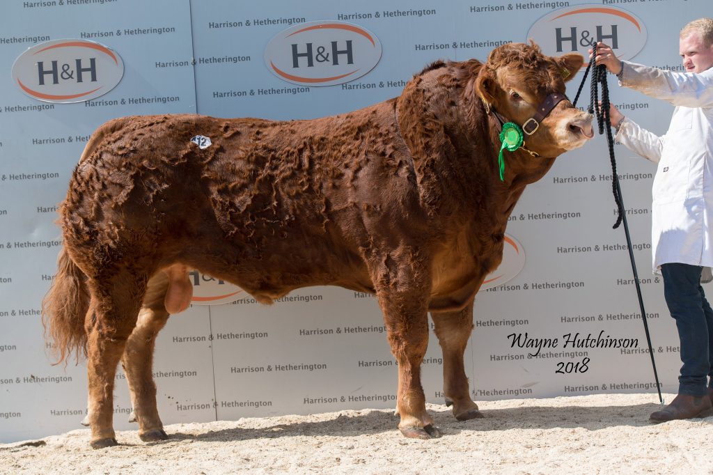 AMPERTAINE MAJESTIC RULES CARLISLE LIMOUSINS AT 35000GNS | British ...