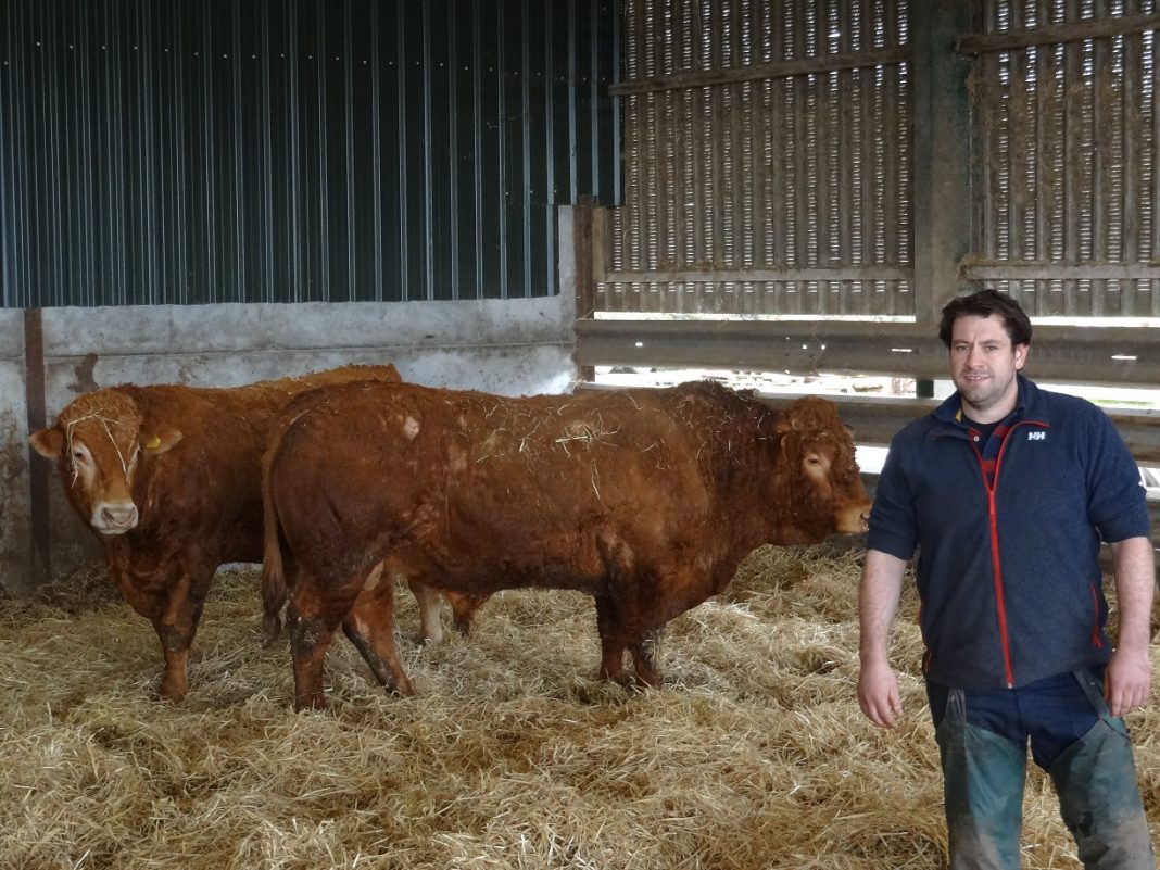 LIMOUSIN ‘THE BREED OF THE FUTURE’ FOR INVERNESS COMMERCIAL BEEF ...