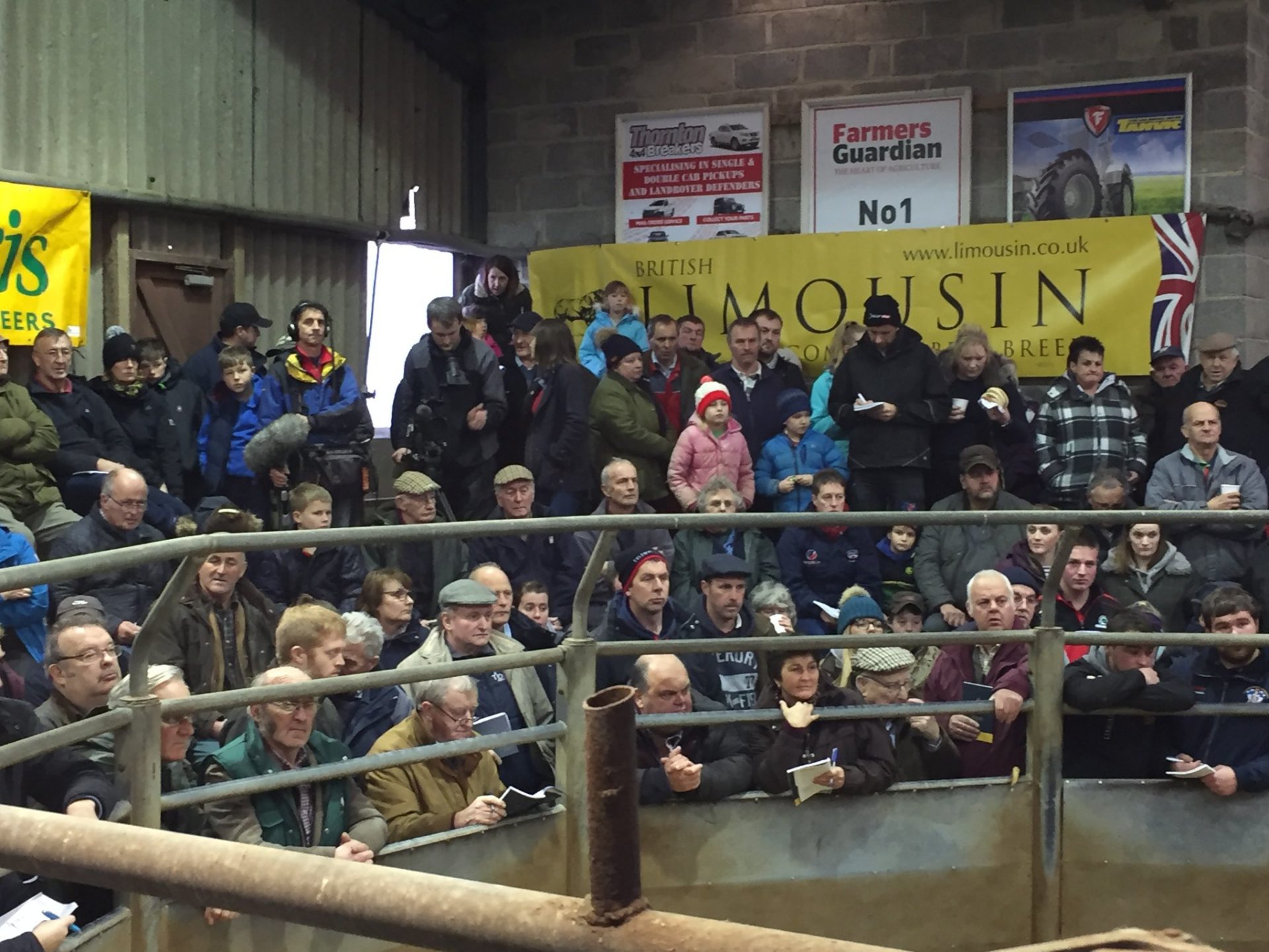 5000GNS GRONW LIBERTY TOPS THE GRONW HERD DISPERSAL SALE AT WHITLAND ...