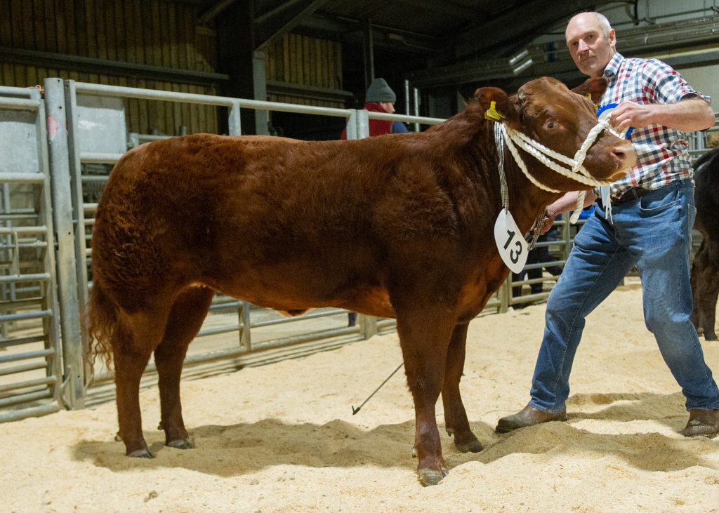 HIGHTOWN HEIFER MAKES £5600 CENTRE RECORD AT HEXHAM SALE | British ...
