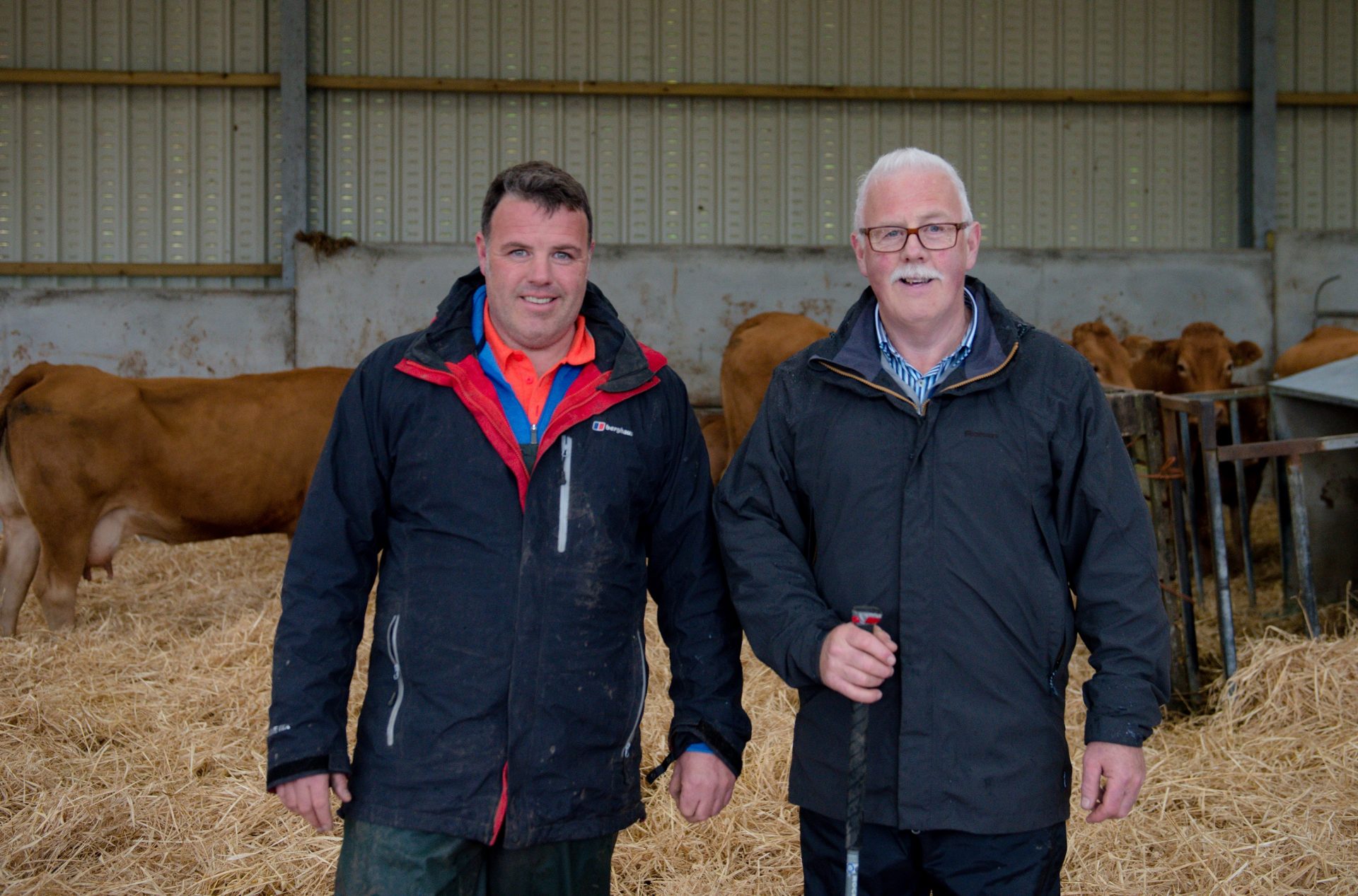 EFFICIENT, ADAPTABLE LIMOUSINS HELP INCREASE MARGINS AT STRONE FARM ...