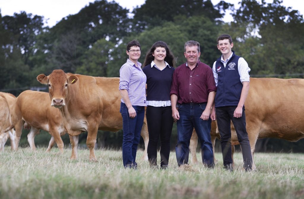 LIMOUSIN ATTRIBUTES TICK ALL THE BOXES FOR HEREFORDSHIRE BASED PHILIPS ...