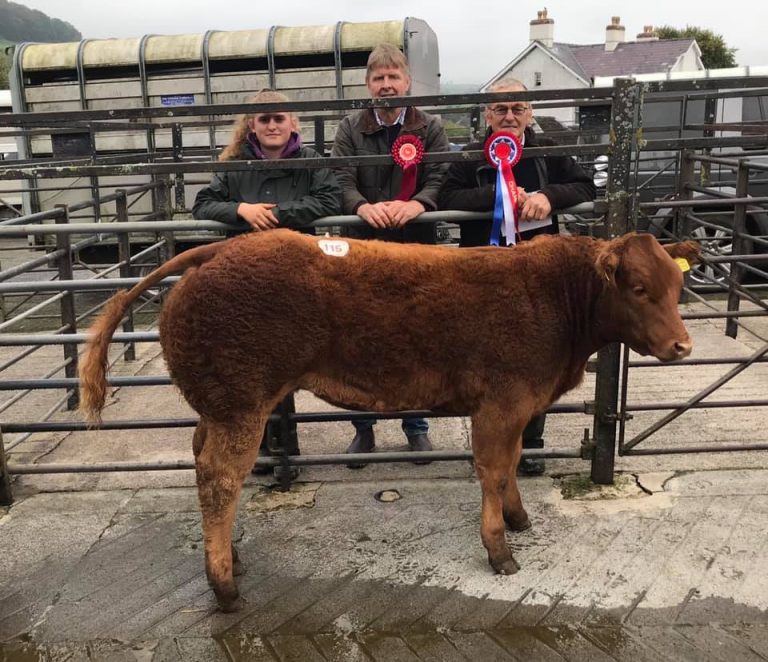 Strong Trade For Sennybridge – Brecon & Radnor Suckled Calf Rearers Ltd ...