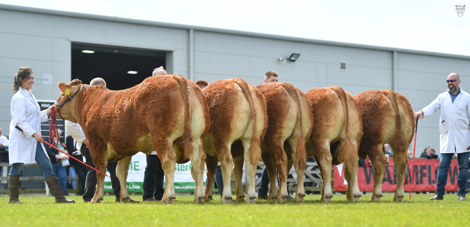 JALEX LIMOUSINS TAKE HOME THE HONOURS FOR THE SECOND YEAR IN A ROW AT ...