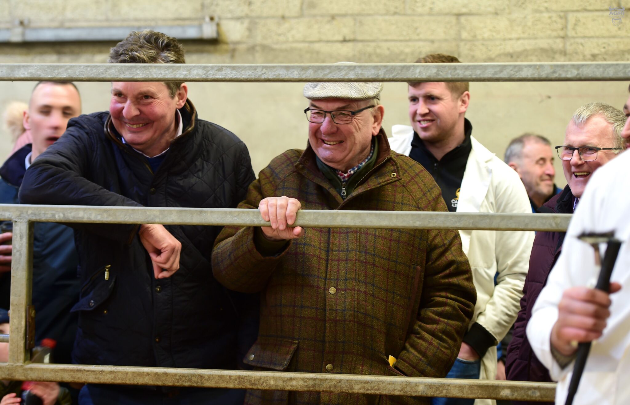 Scottish judge impressed by Limousin ‘Rising Stars’ | British Limousin ...