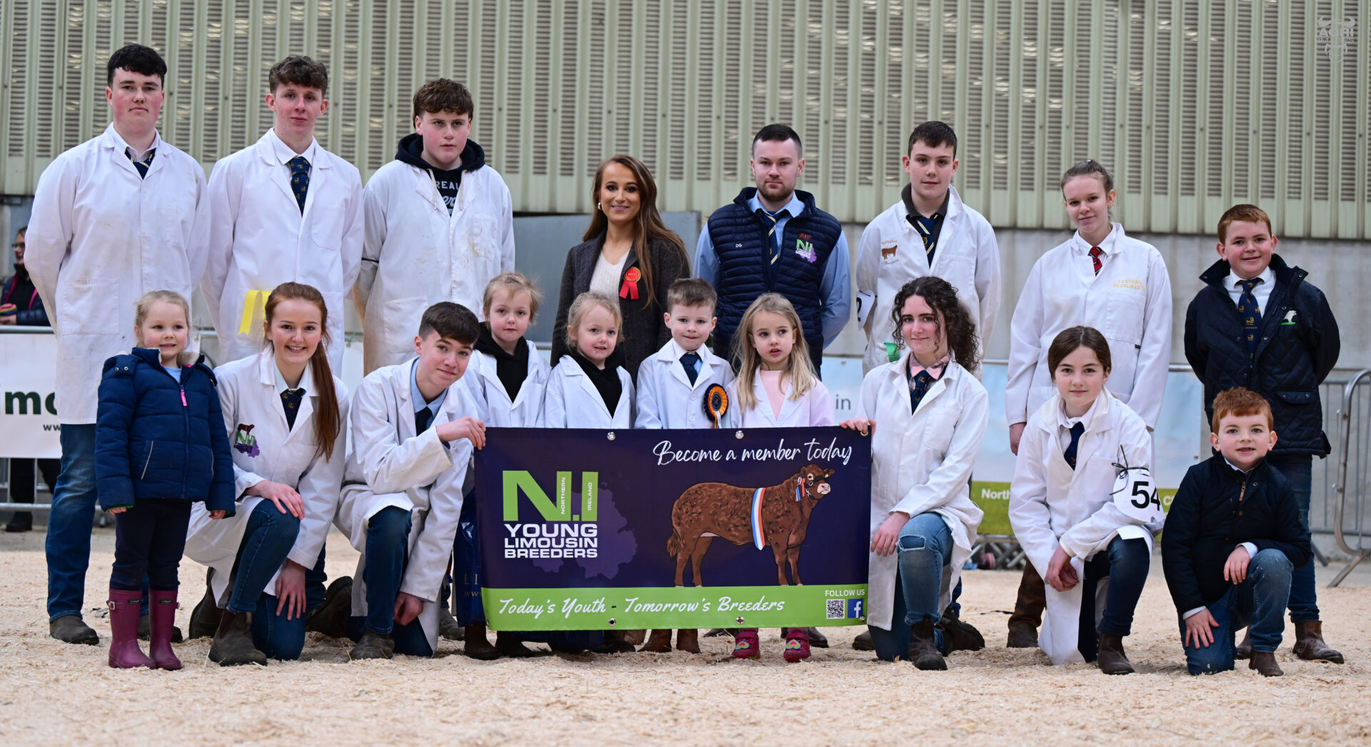 ‘Rising Stars’ shine at Limousin calf show | British Limousin Cattle ...