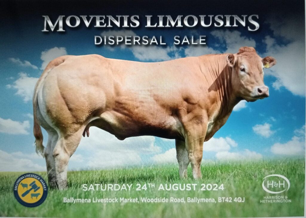 British Limousin Cattle Society | The British Limousin Cattle Society ...