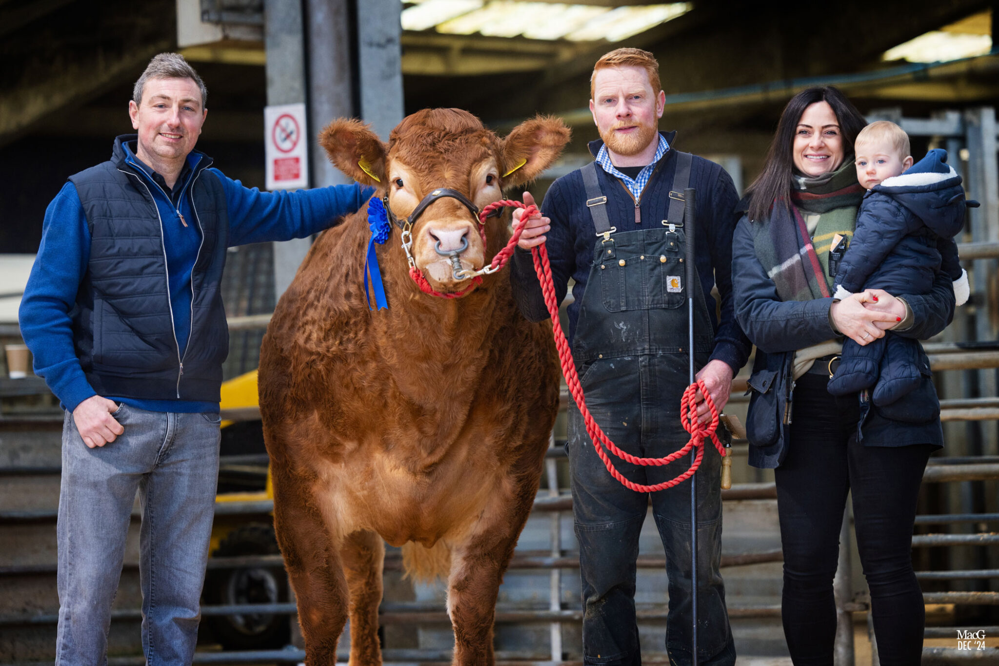 A Unique day at Red Ladies | British Limousin Cattle Society