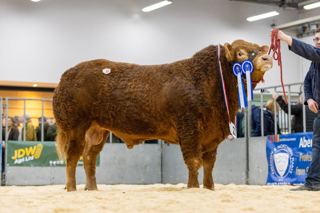 RONICK VAMPIRE TOPS STRONG COMMERCIAL TRADE AT THAINSTONE | British ...